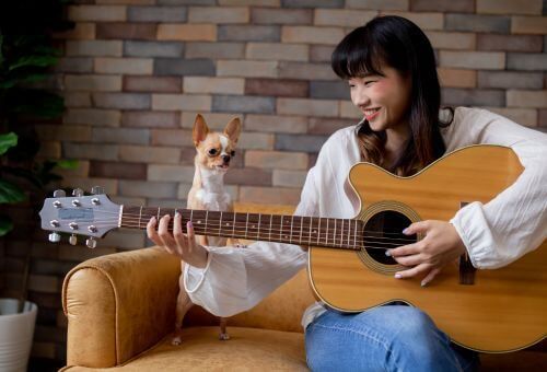 Guitar Chords | Guitar Mage